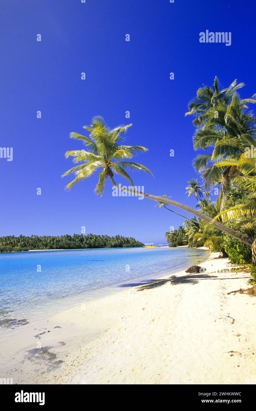 Palm beach, Cook Islands, dream beach Stock Photo - Alamy