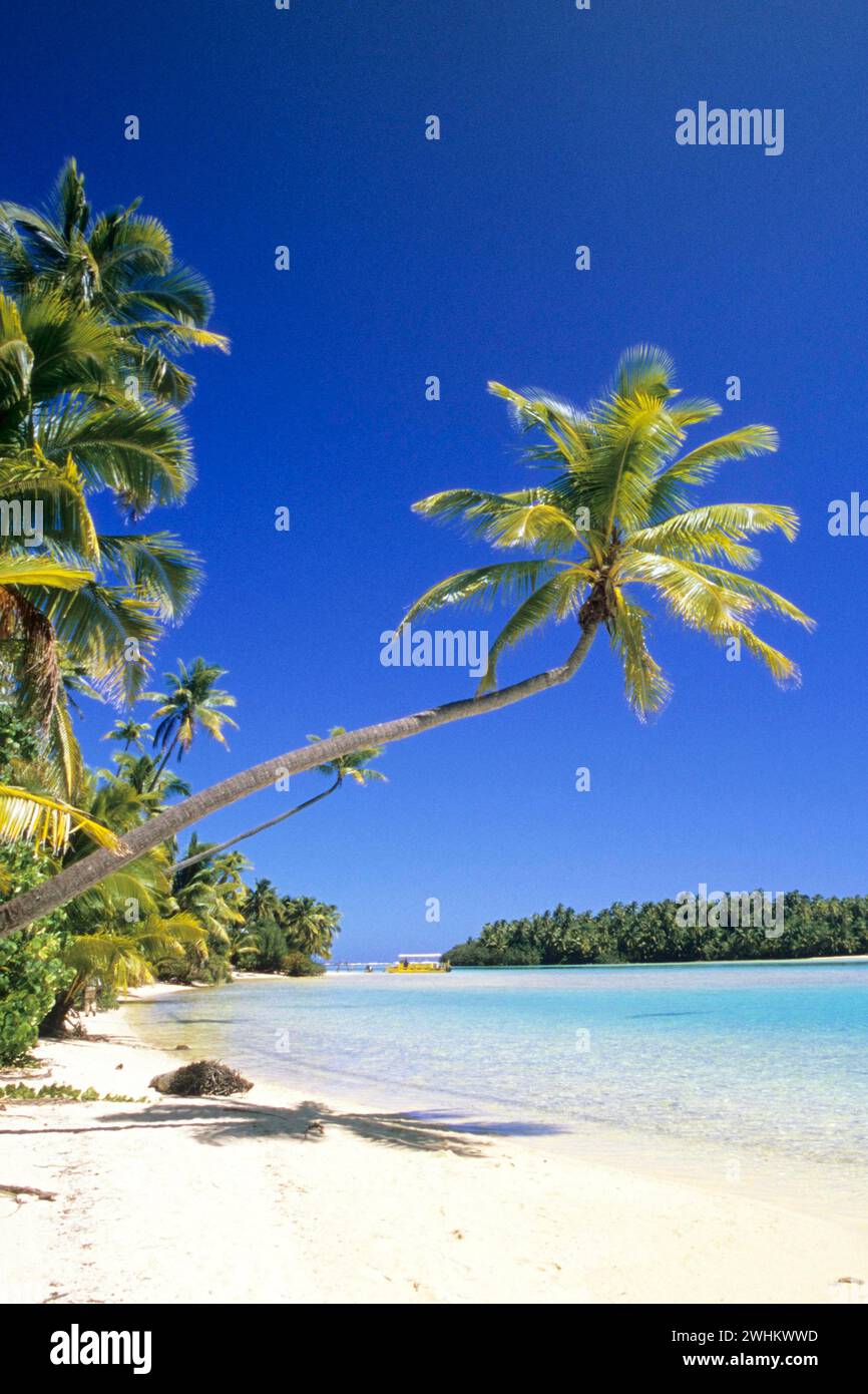 Palm beach, Cook Islands, dream beach Stock Photo - Alamy
