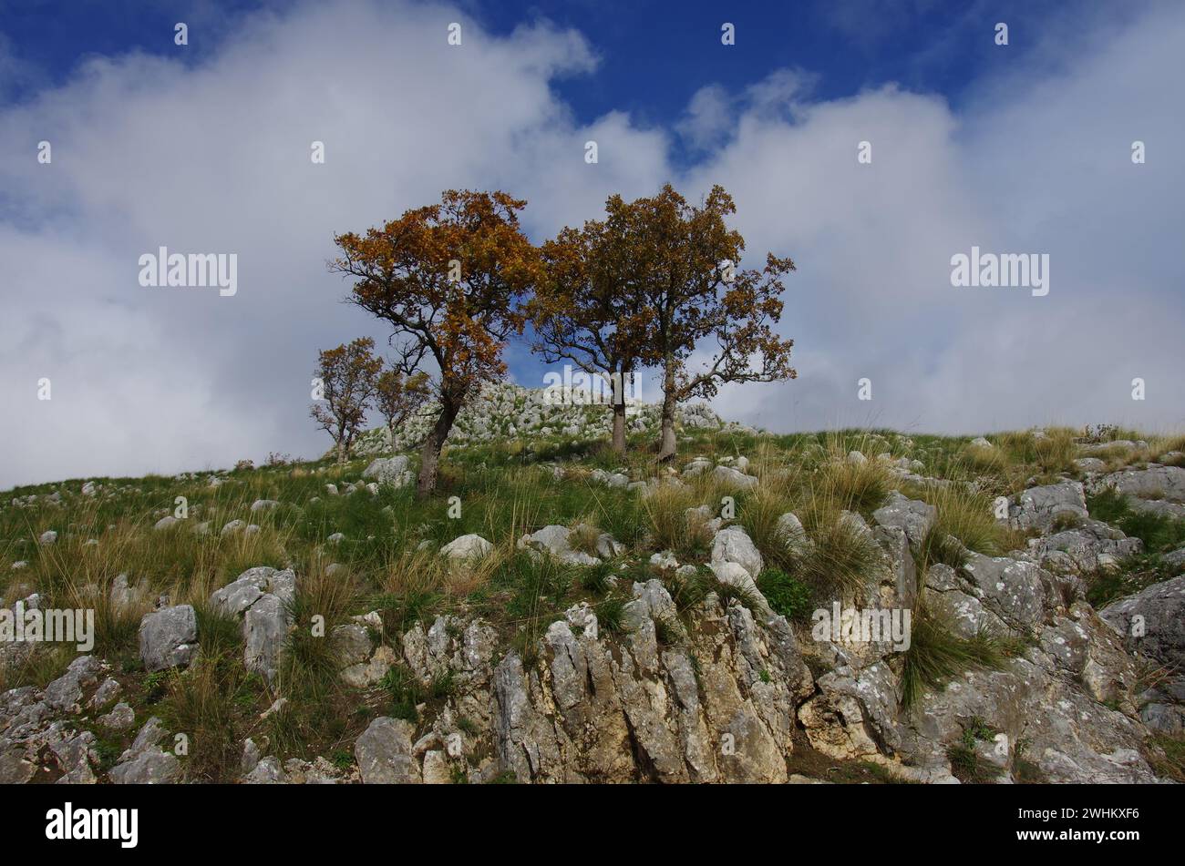 Southern italian landscape hi-res stock photography and images - Alamy