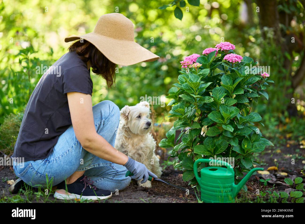 Gardening dog hi-res stock photography and images - Alamy