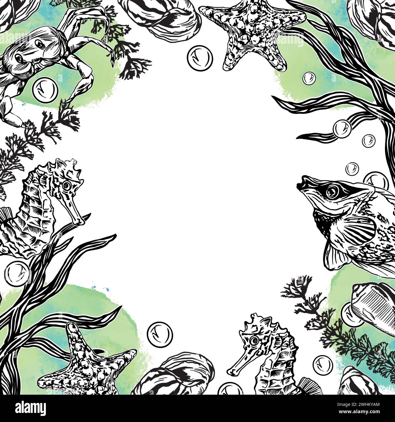 Marine frame, square. Crab, fish, kelp, starfish, shells. Vector ...