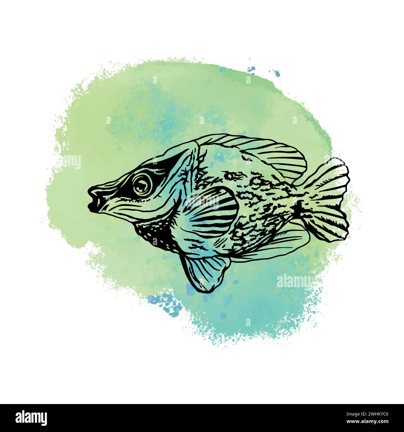 Fish, yellow, sea. Fox fish. Vector illustration with a blue spot on ...