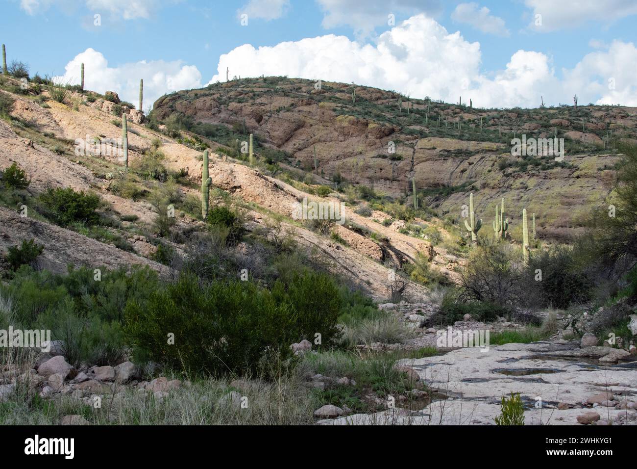 First water creek hi-res stock photography and images - Alamy