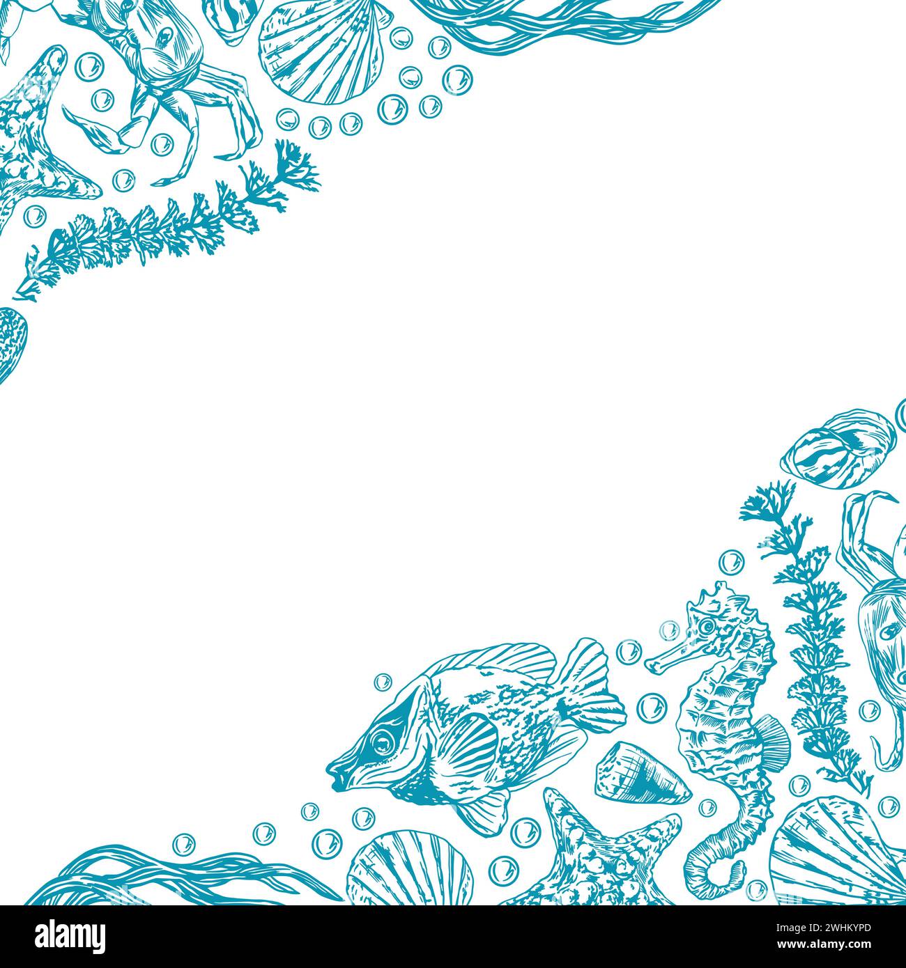 Marine frame, square. Crab, fish, kelp, starfish, shells. Vector ...