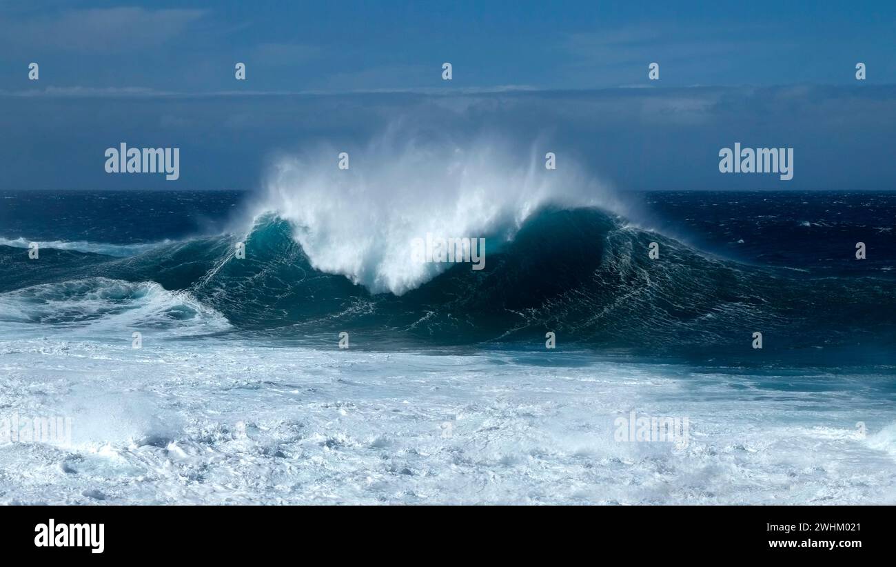 Wave, breaker, surf wave Stock Photo - Alamy