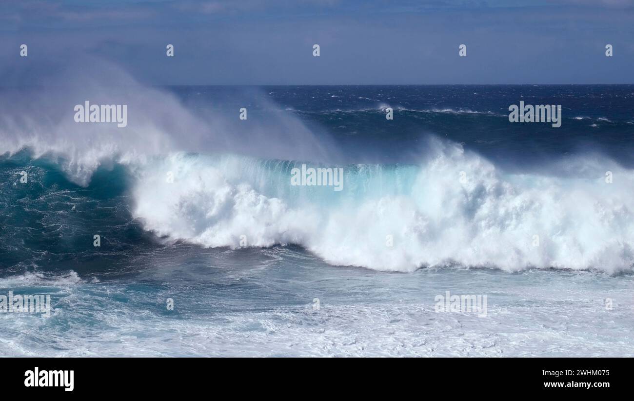 Sea tossed hi-res stock photography and images - Alamy