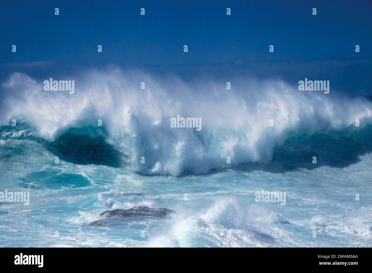 Sea tossed hi-res stock photography and images - Alamy