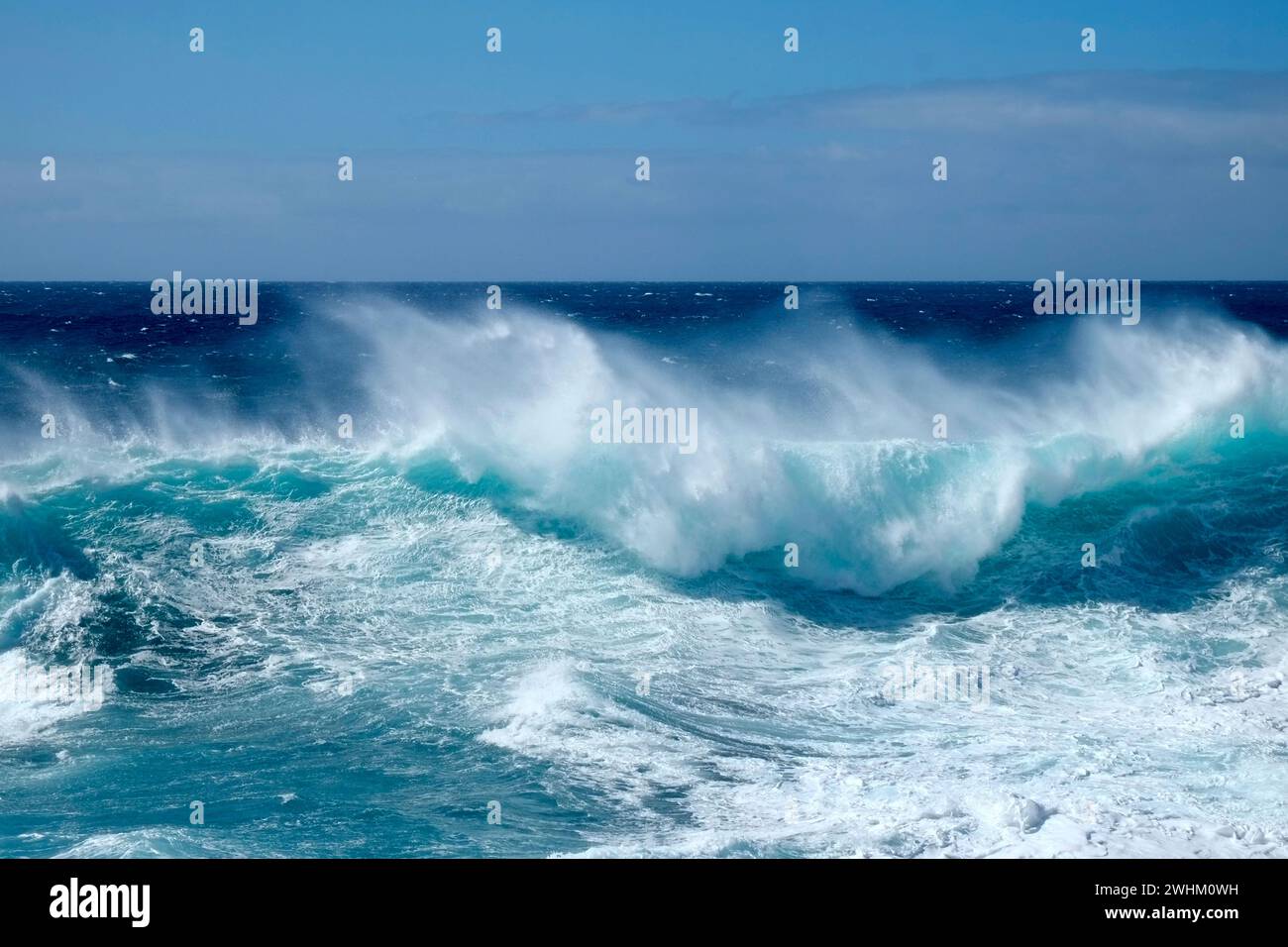 Wave, wildly moving sea Stock Photo - Alamy