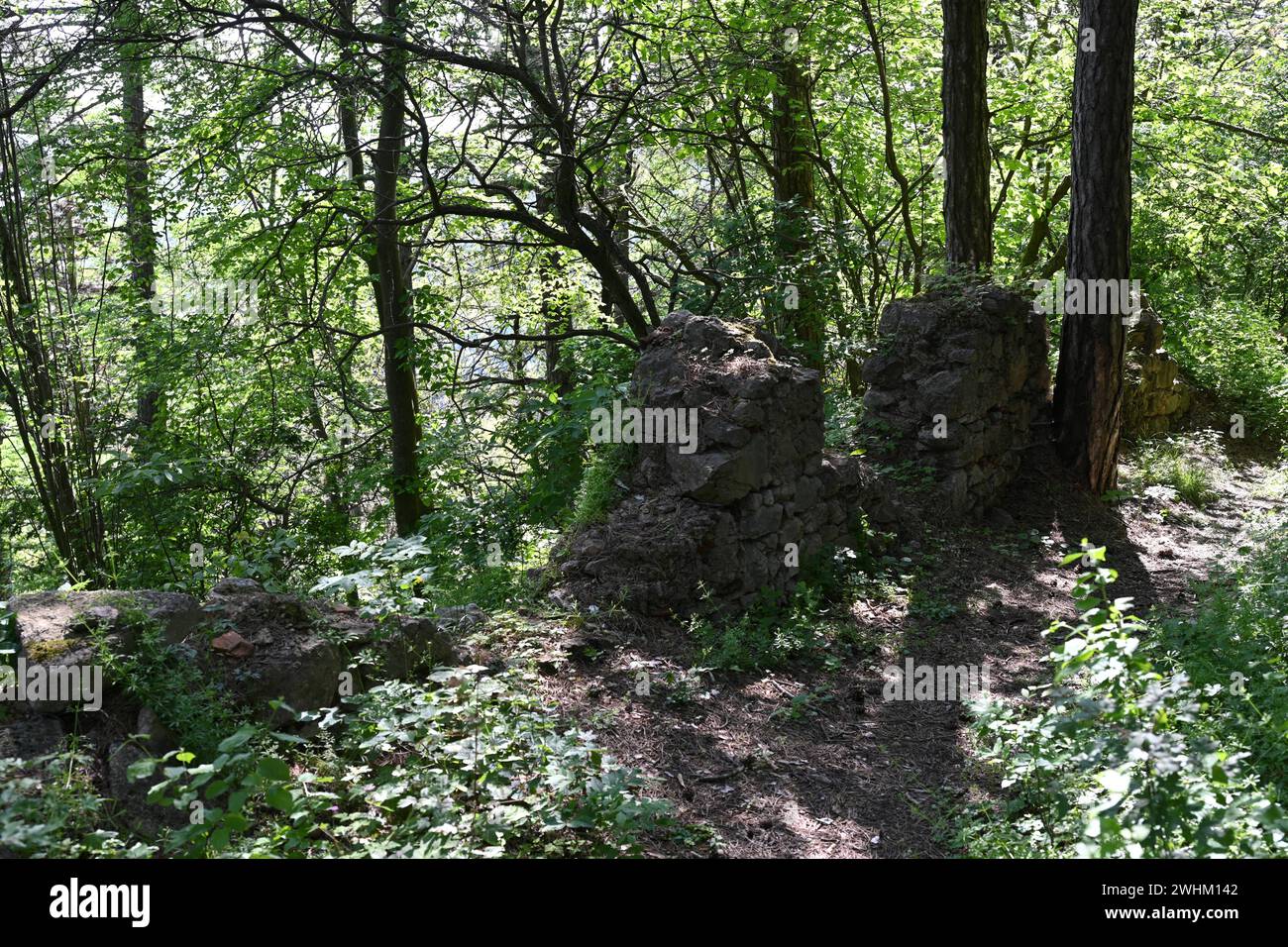 Pankrazi hi-res stock photography and images - Alamy