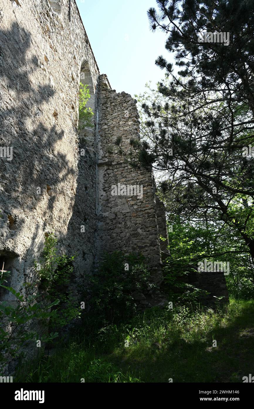 Pankrazi hi-res stock photography and images - Alamy
