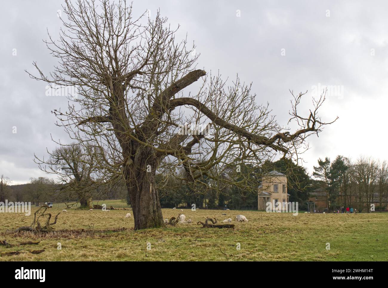 Shugborough Estate, Staffordshire UK Stock Photo - Alamy