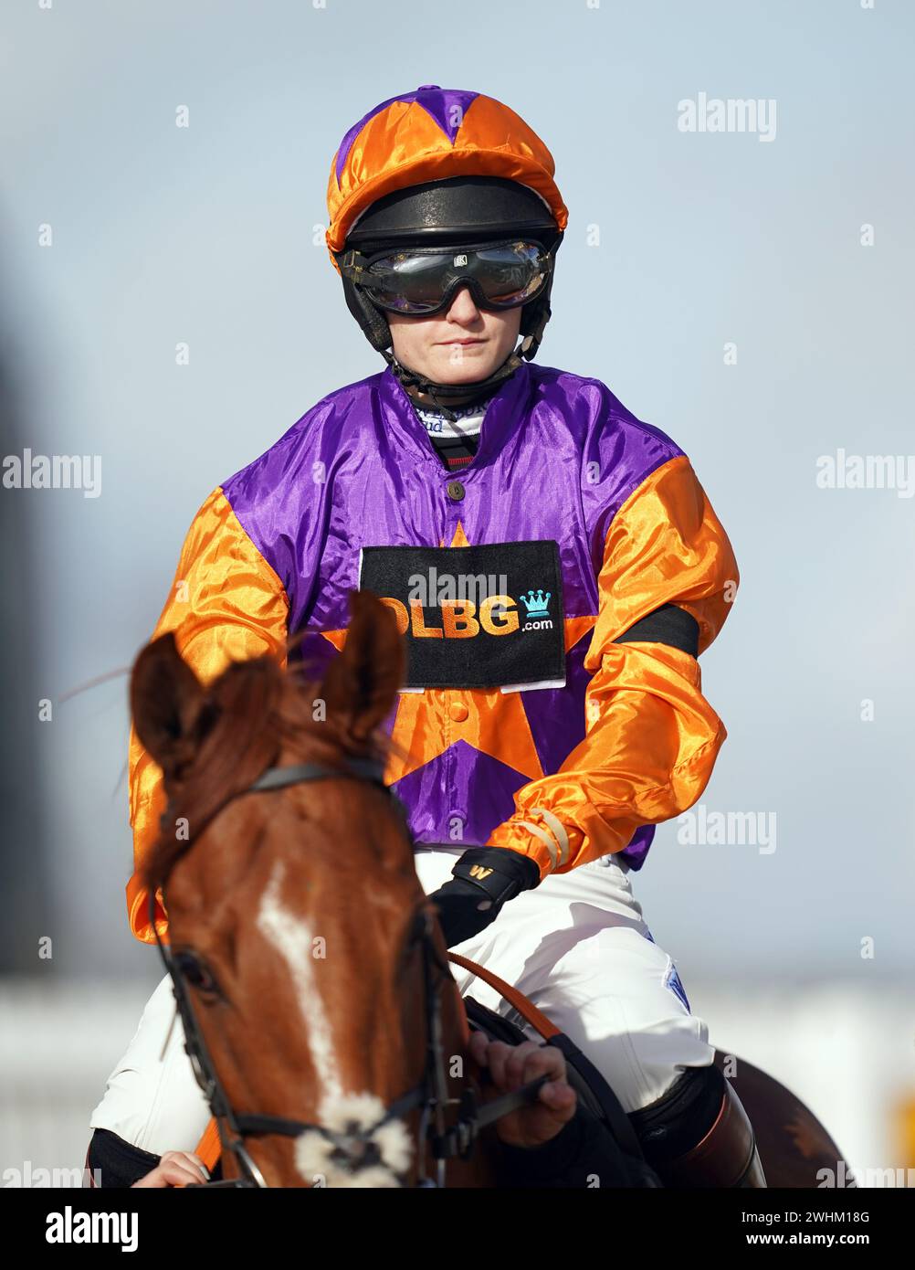 Alice Stevens riding Salvatore at Newbury Racecourse, Berkshire ...