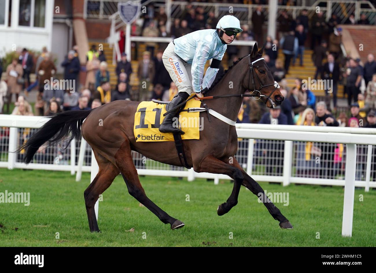 Doddiethegreat horse hi-res stock photography and images - Alamy