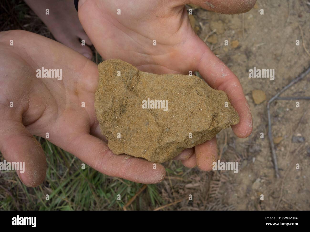 Soil sample hi-res stock photography and images - Alamy