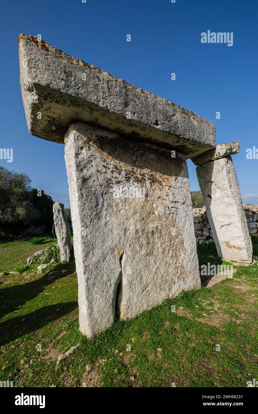 Cult bull hi-res stock photography and images - Alamy