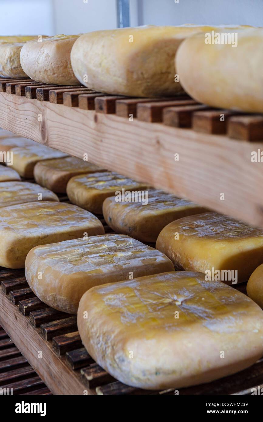 Cheese ripening shelves hi-res stock photography and images - Alamy
