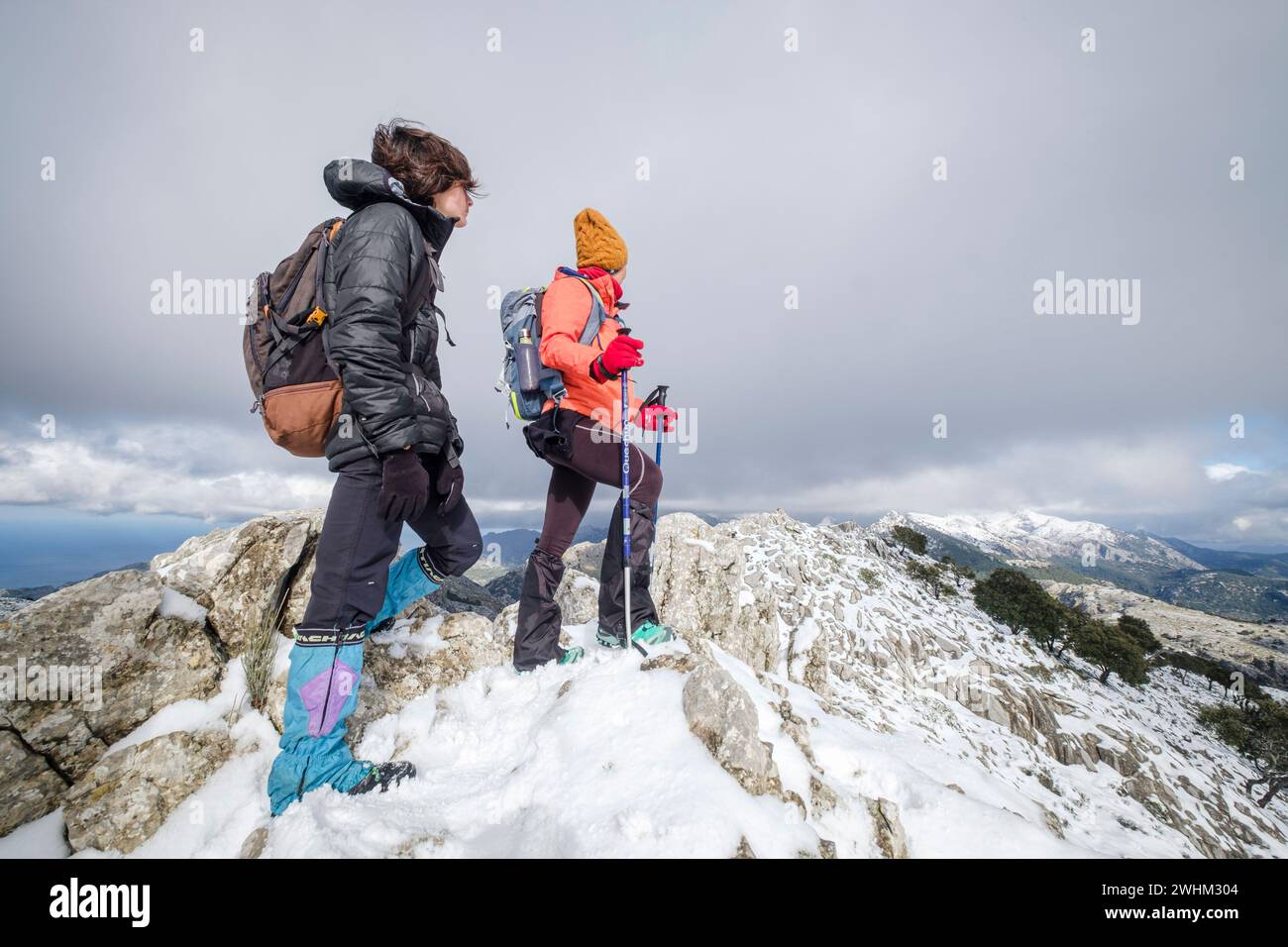 Coll blanco hi-res stock photography and images - Alamy