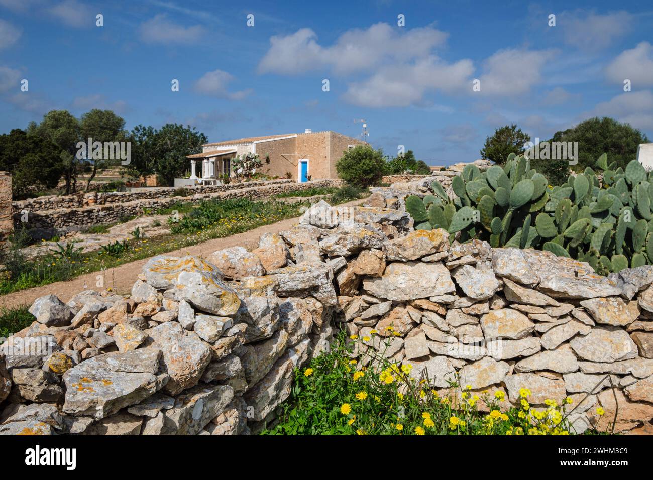 Traditional stone walls Stock Photo - Alamy