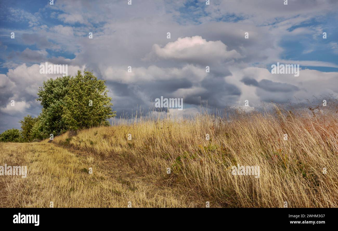 Unploughed strip hi-res stock photography and images - Alamy