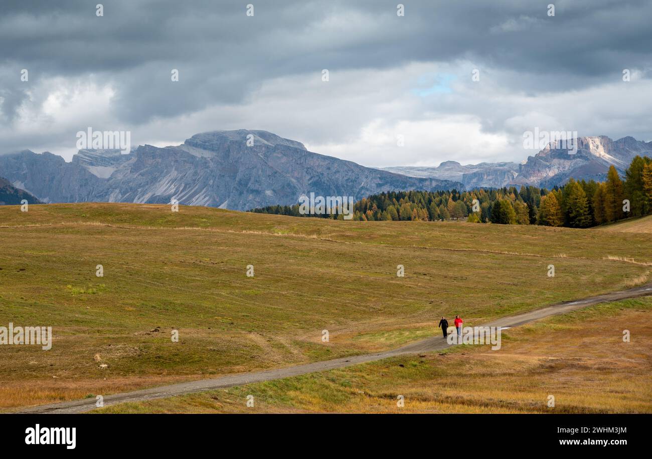 People trekking on a trail in nature. Healthy lifestyle activities ...