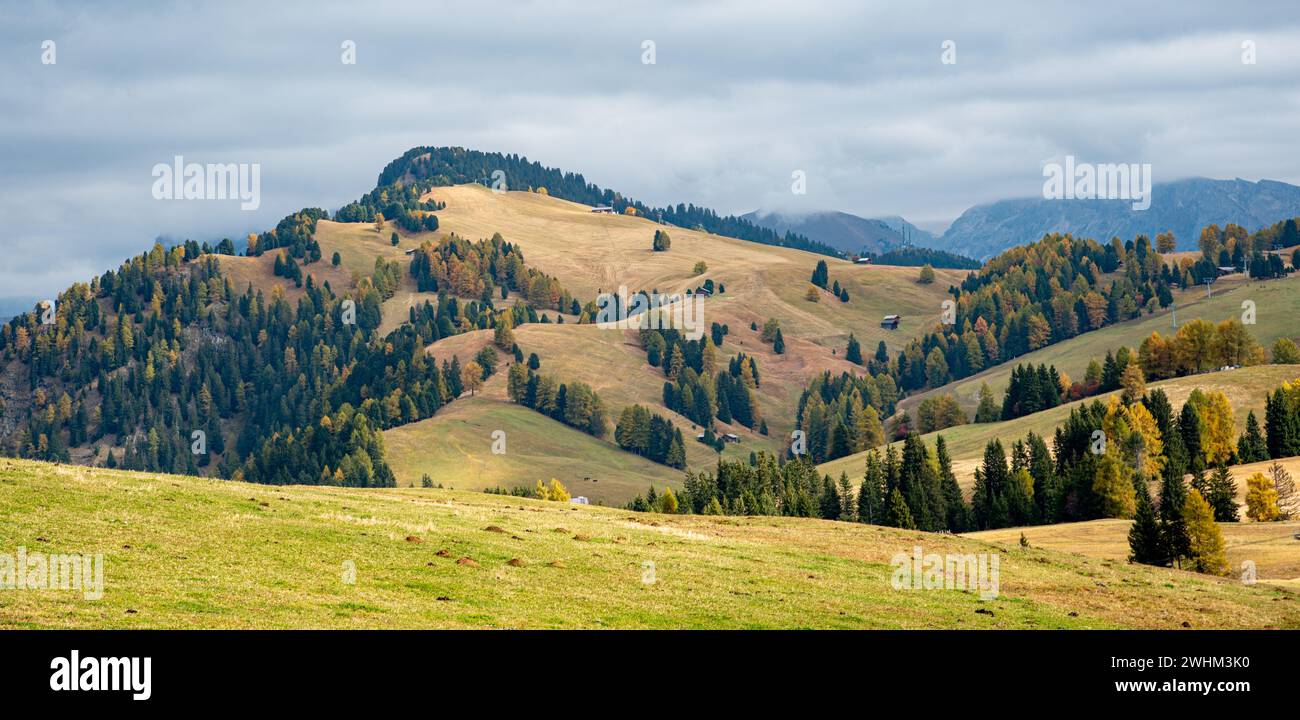 Forest mountain italian alps hi-res stock photography and images - Alamy