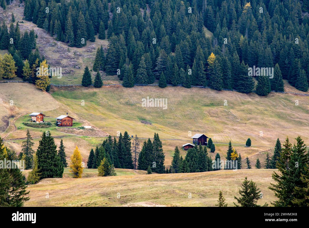 Wooden travel cabin tourist houses outdoor in the hill in autumn Stock ...