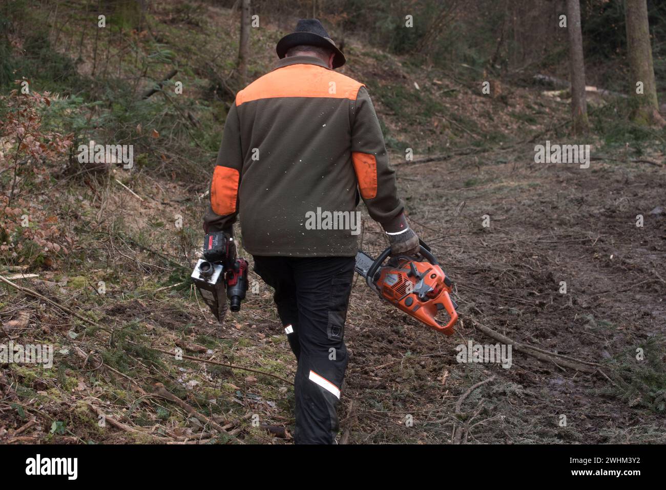 Forester stand hi-res stock photography and images - Alamy