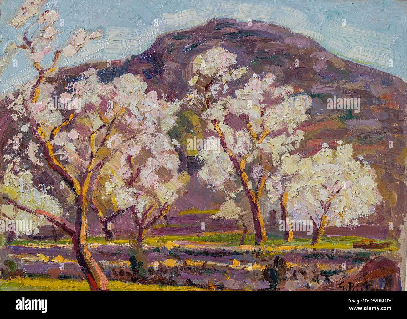 Pollena a hi-res stock photography and images - Alamy