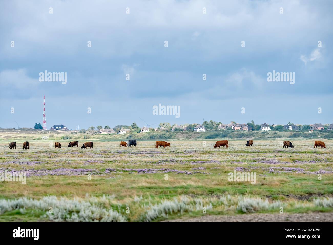 Free pastures hi-res stock photography and images - Alamy