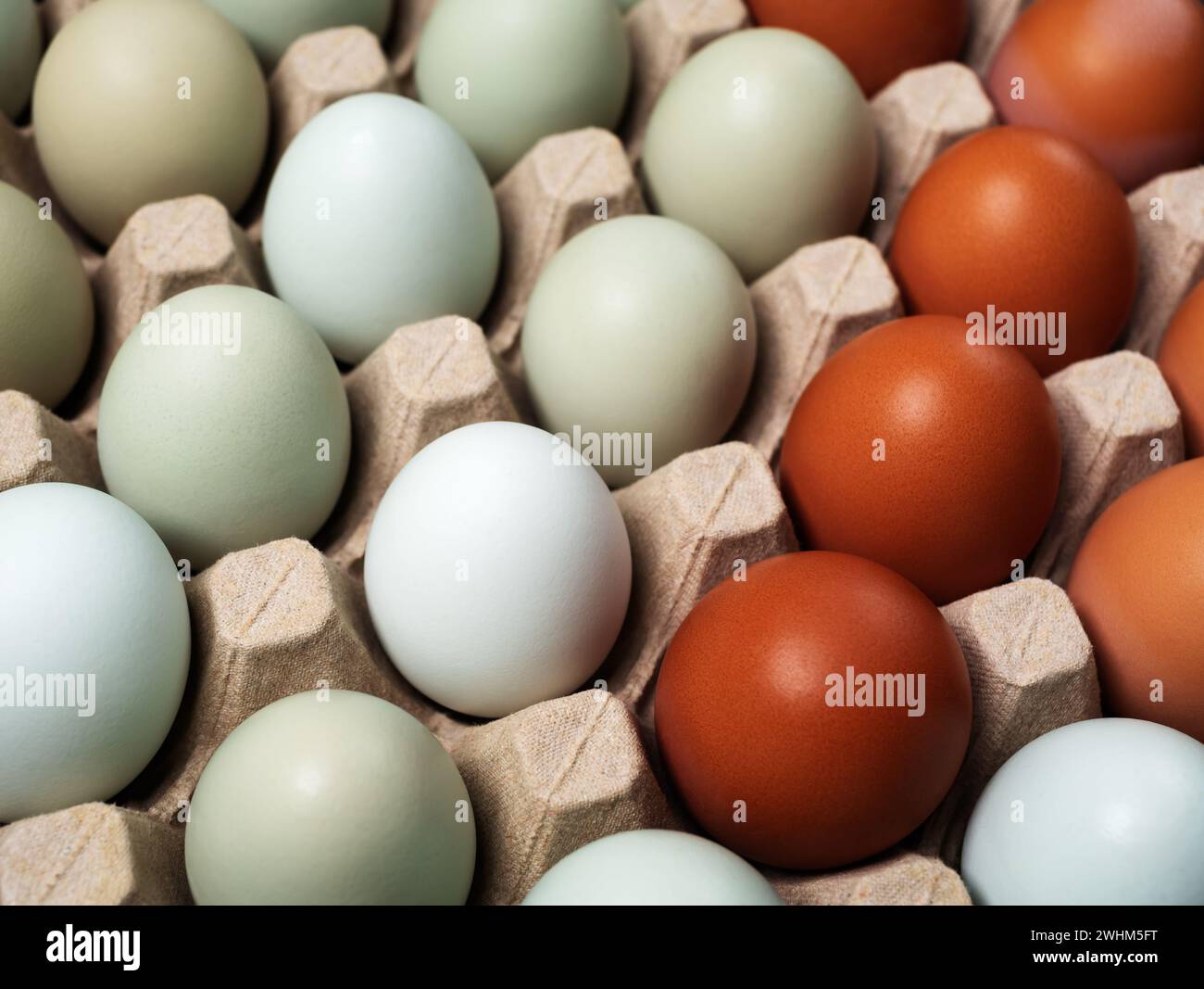 Colorful organic chicken eggs hi-res stock photography and images - Alamy