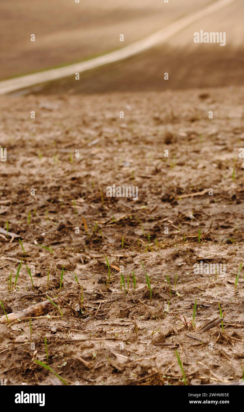 Agricultural farm field of ploughed soil. Landscape with brown ground ...