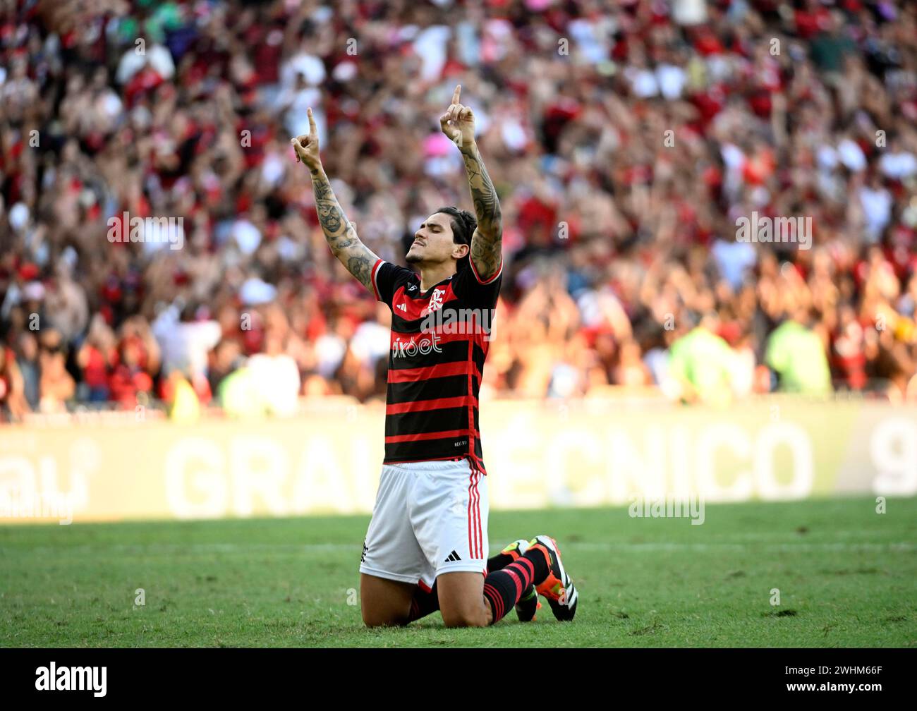 Rio de Janeiro,Brazil. 10 Februery 2024 Brazilian Football Championship ...
