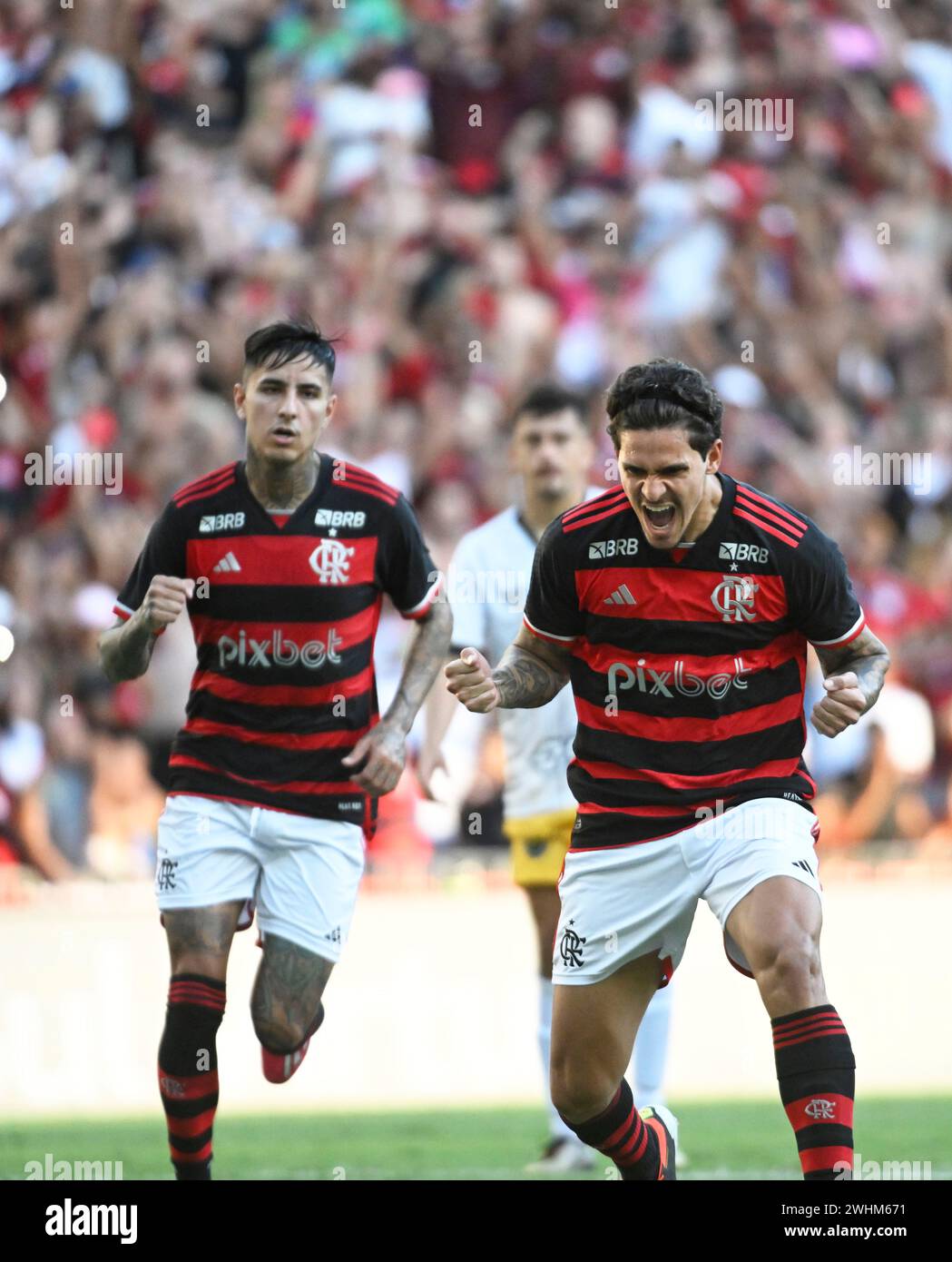 Gabigol 2024 hi-res stock photography and images - Alamy