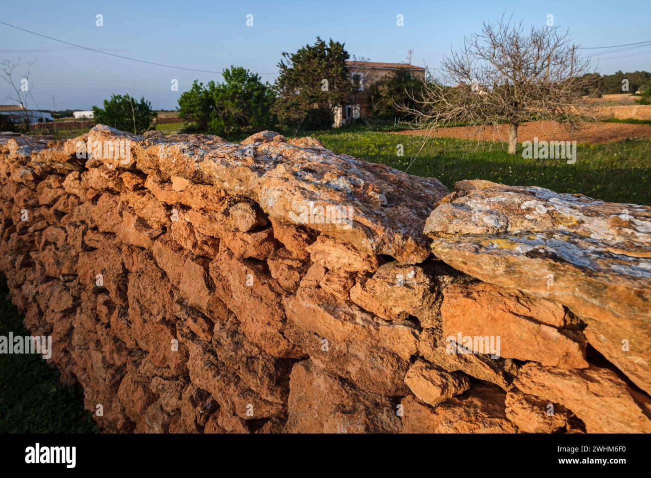 Traditional stone walls for agricultural land Stock Photo - Alamy