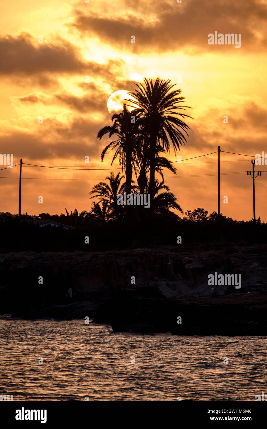 Siquia hi-res stock photography and images - Alamy