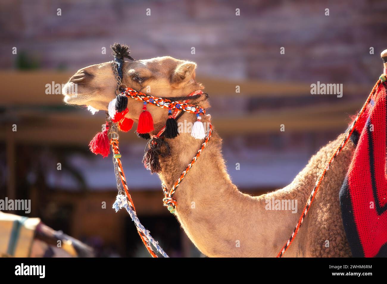 Ancient red rocks hi-res stock photography and images - Alamy