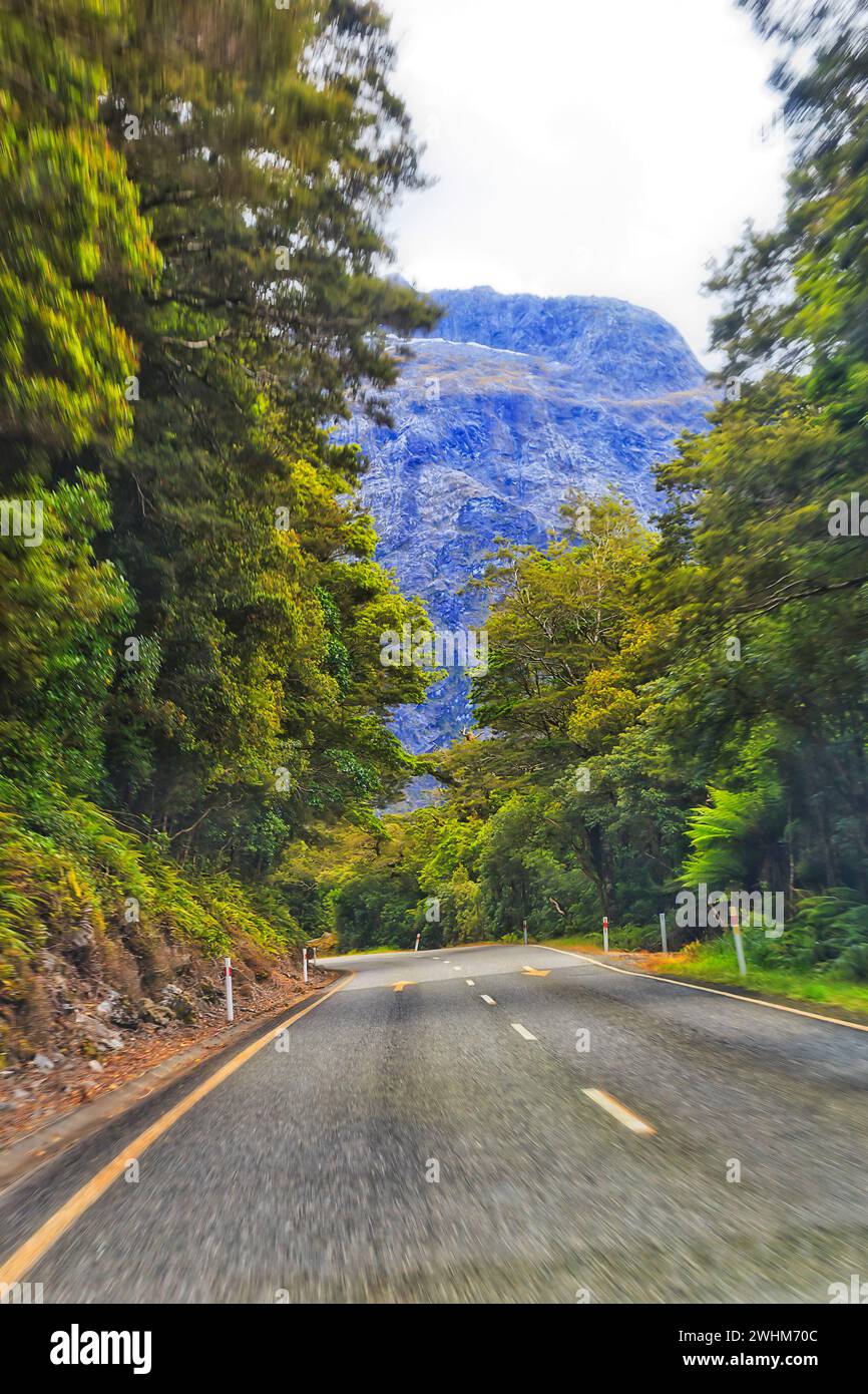 Milford Sound to Te Anau tourist highway 94 in Fiordland of New Zealand ...