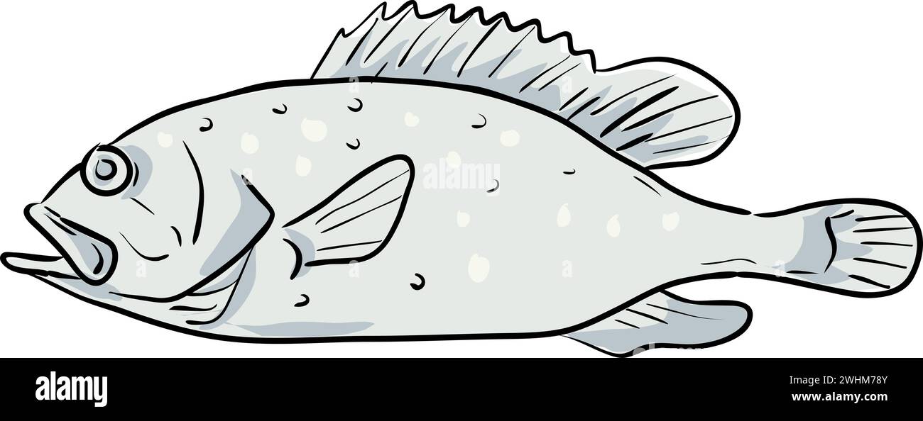 Yellowedge grouper Fish Gulf of Mexico Cartoon Drawing Stock Photo - Alamy