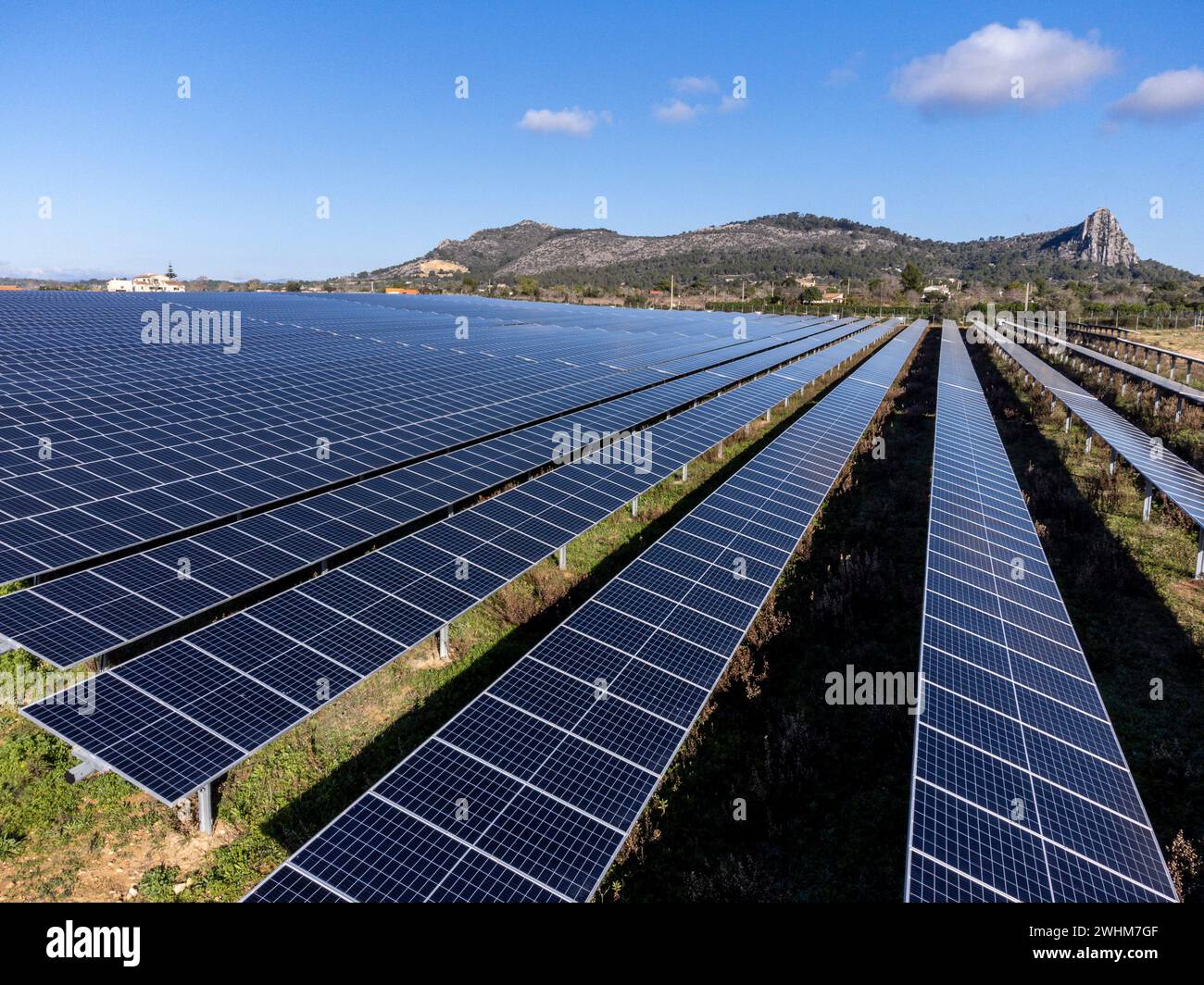 Buniferri hi-res stock photography and images - Alamy