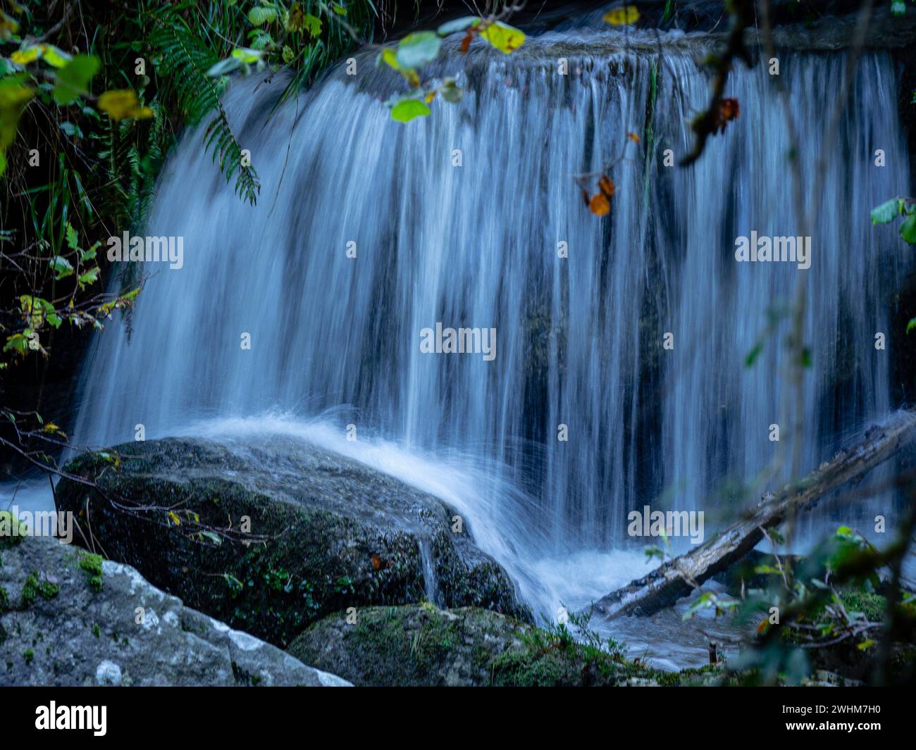 Wealth and nature hi-res stock photography and images - Alamy
