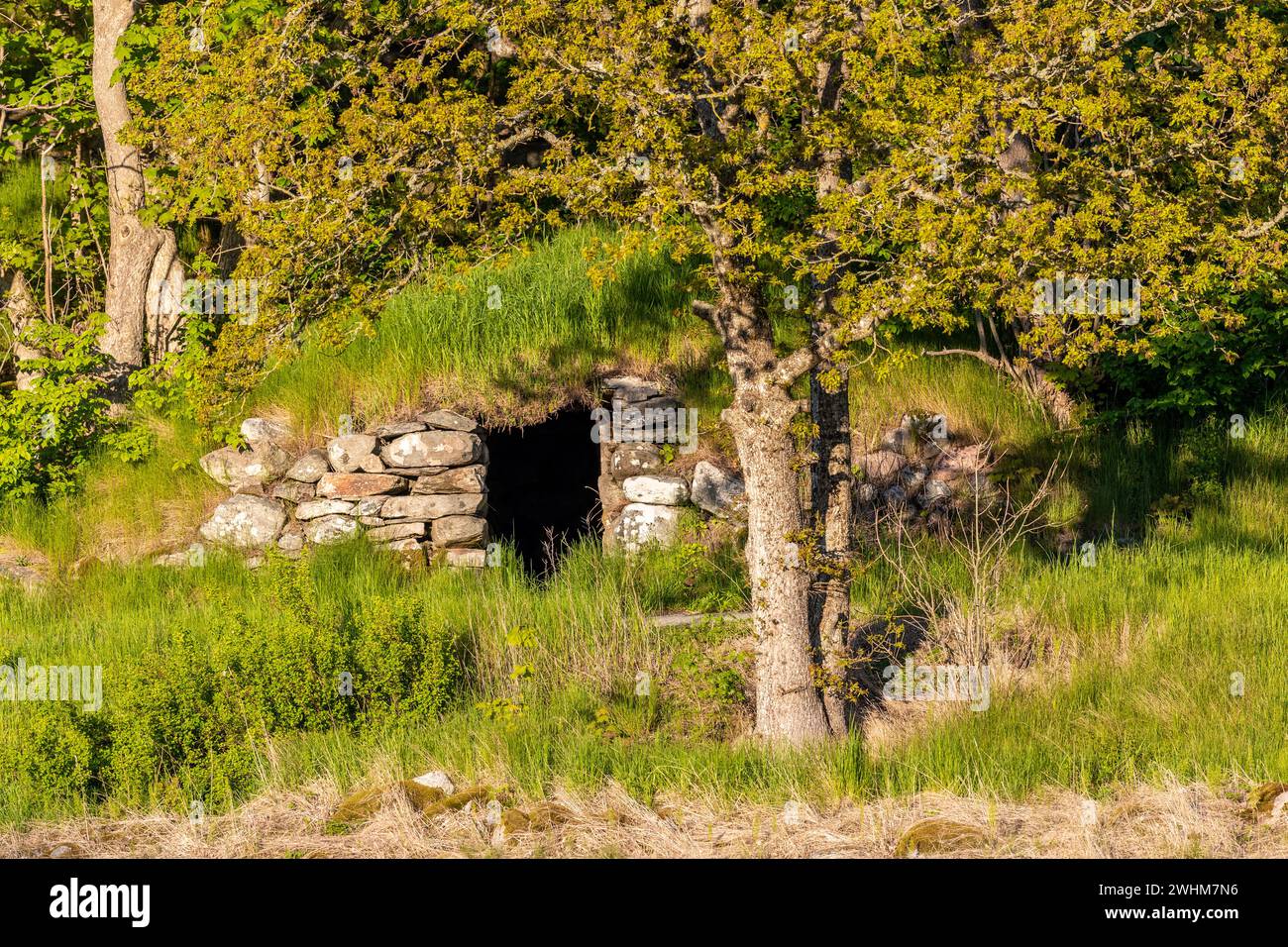 Earth cellar hi-res stock photography and images - Alamy