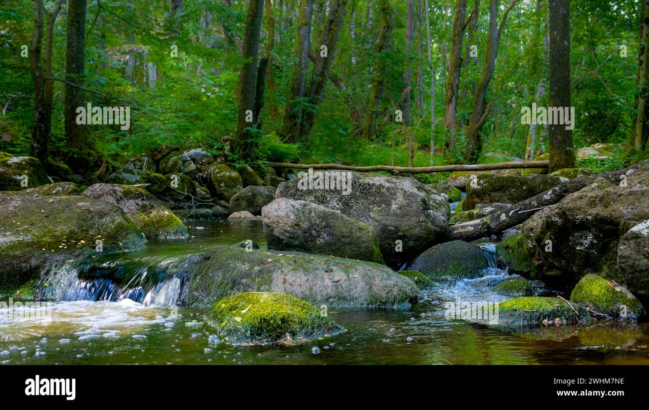 Sweden forest mountain hi-res stock photography and images - Alamy