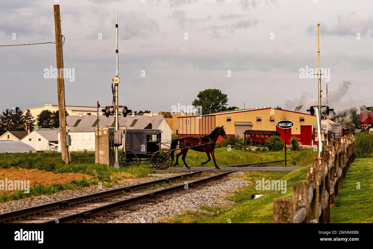 View of an Amish Horse and Buggy, Crossing a Countryside Rail Road ...