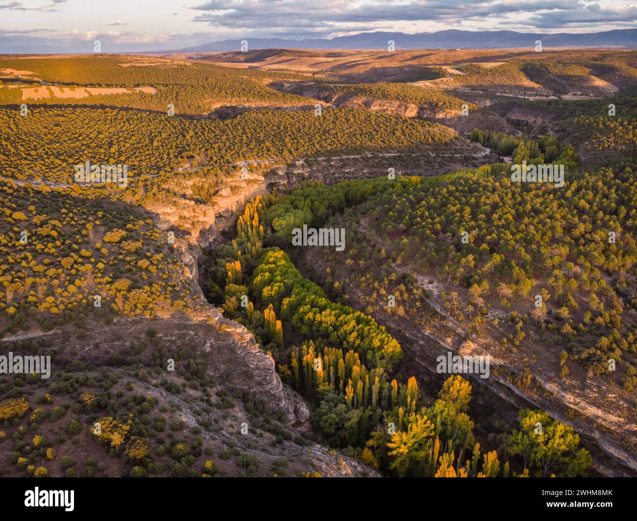 Phytozoogeographic region hi-res stock photography and images - Alamy