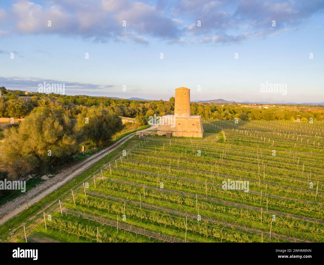 Porques hi-res stock photography and images - Alamy