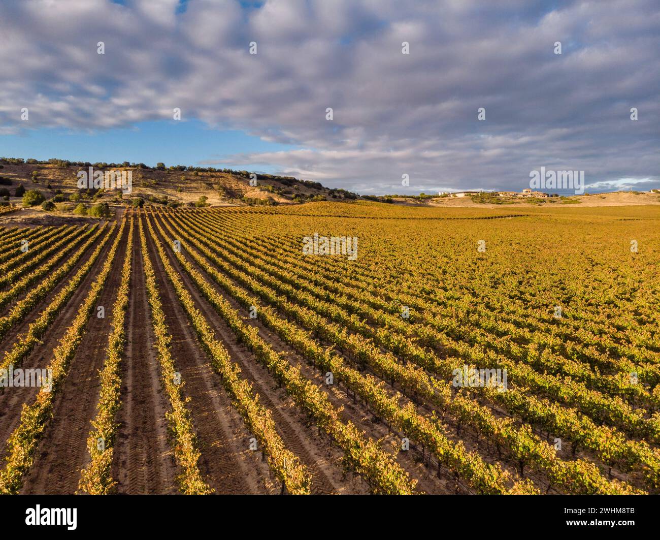 The last field hi-res stock photography and images - Alamy
