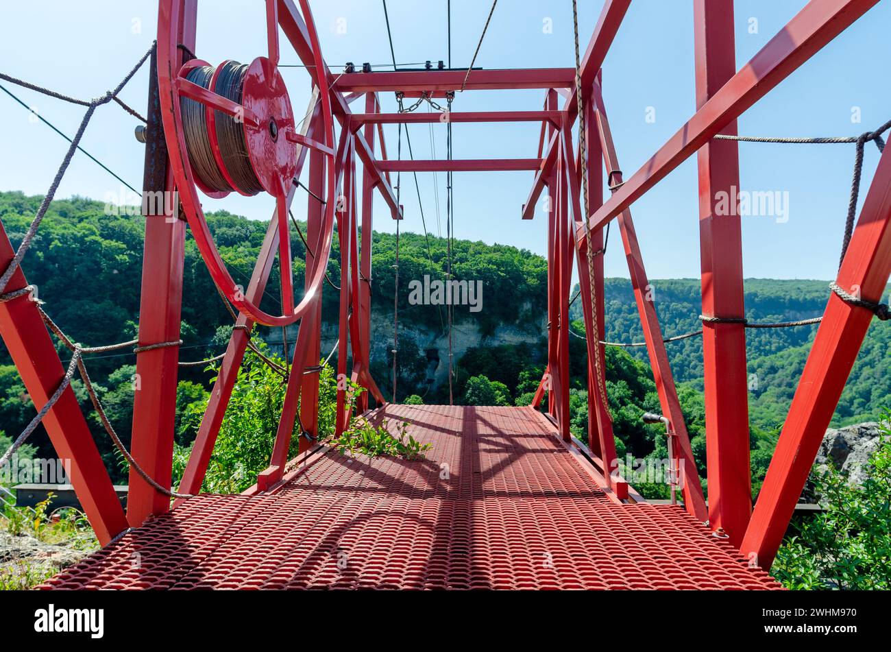 Jungle backdrop hi-res stock photography and images - Alamy