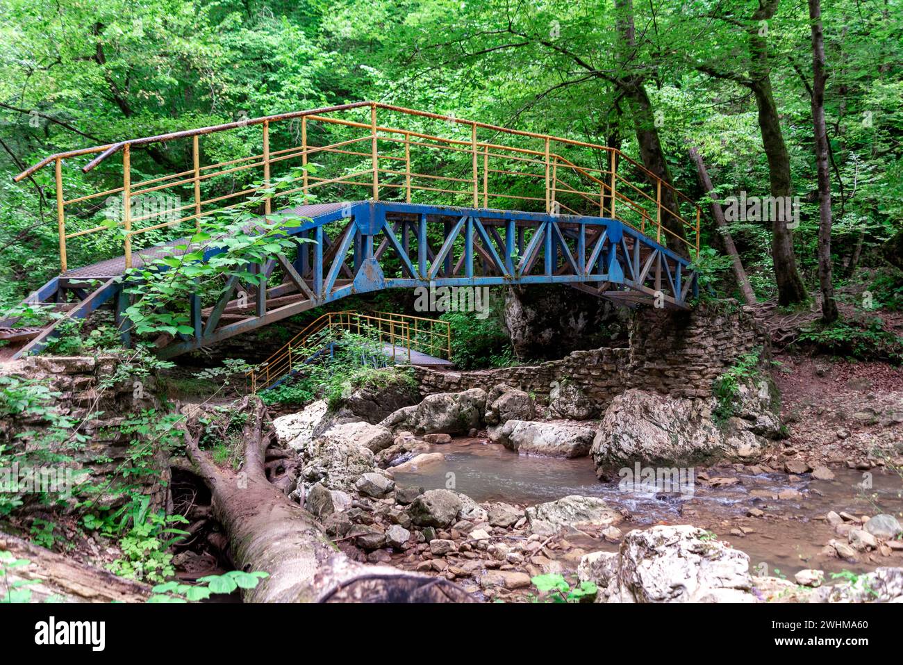 Bridge in jungle without hi-res stock photography and images - Alamy