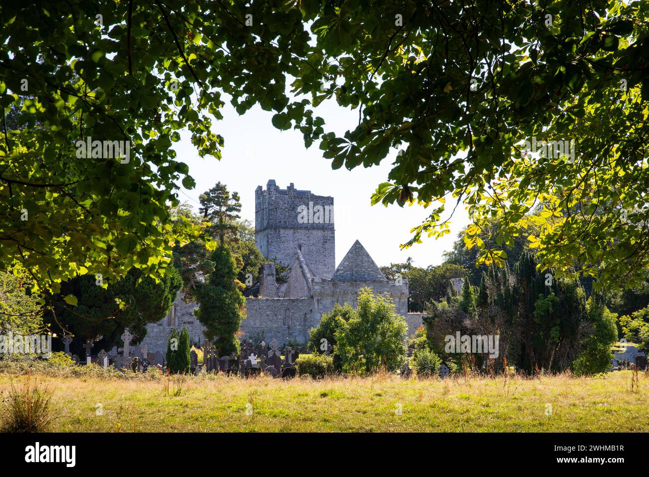 Muckross abbey cemetery hi-res stock photography and images - Alamy