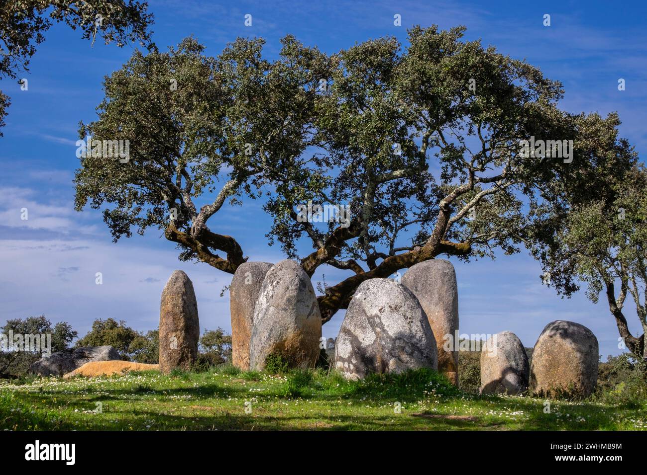 Edificio de piedra de la historia hi-res stock photography and images ...